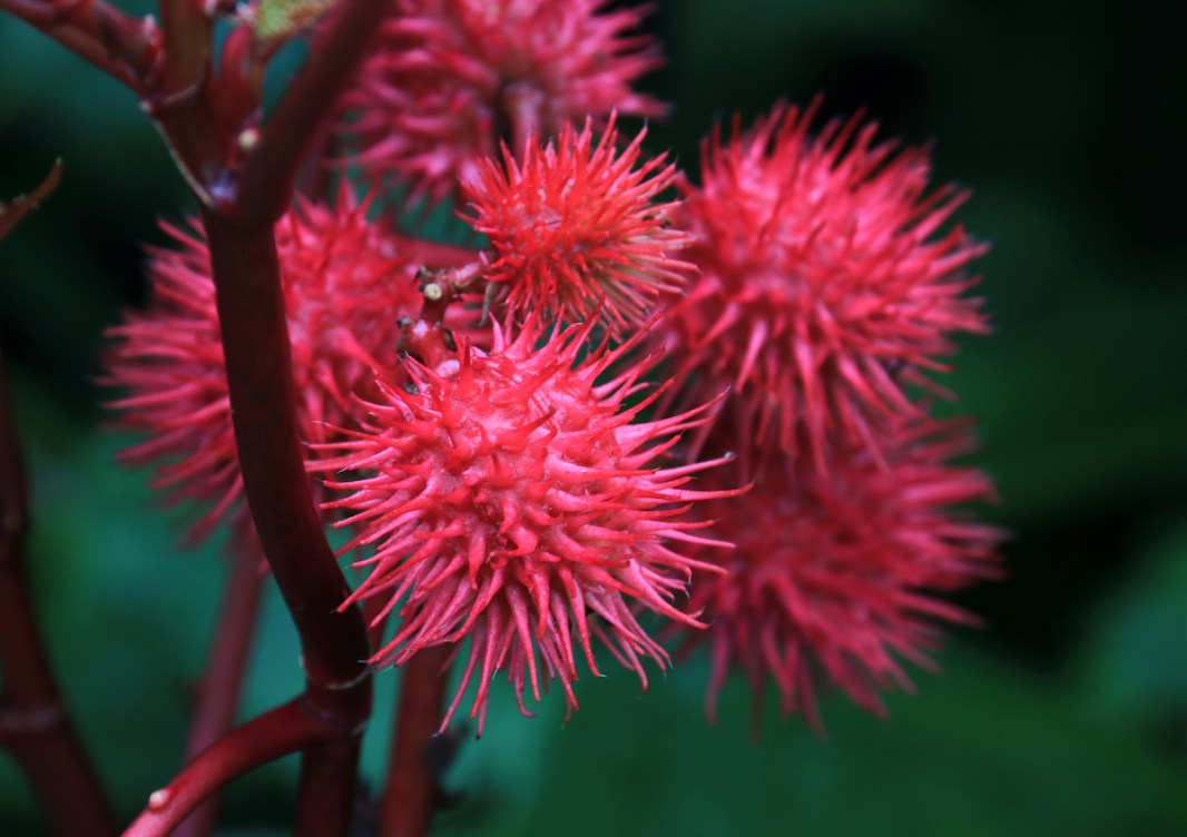 How to Cut Copper Pipe: 3 Tools You Can Use to Get the Job Done