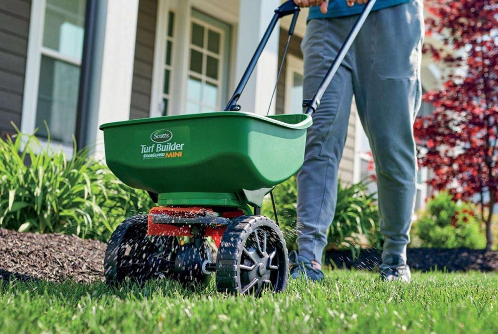Here is Everything You Need to Take Care of Your Lawn This Fall