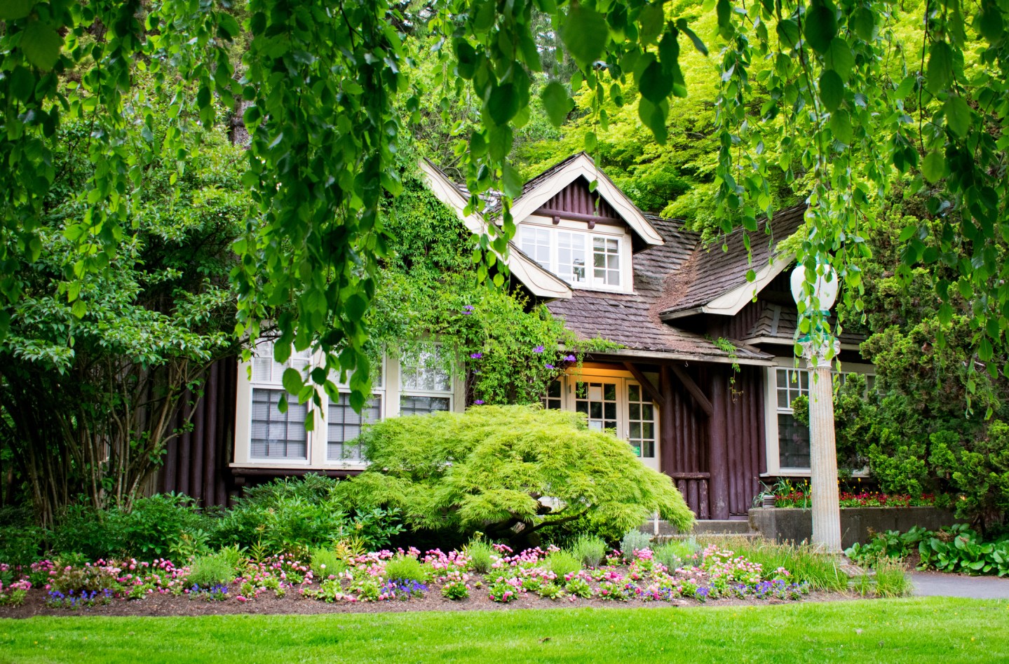 How Strategic Landscaping Can Lower Your Home’s Energy Costs