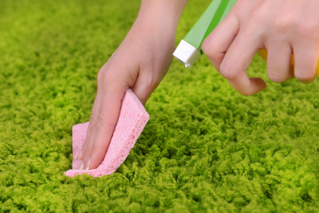7 Secrets to Keeping Your Carpet Looking New