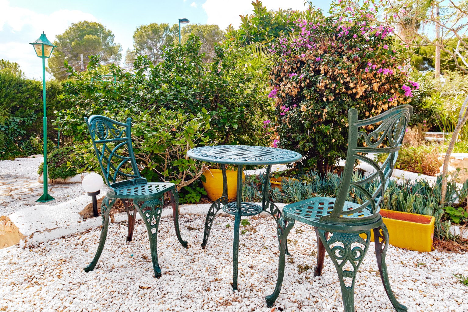 How to Showcase the 2025 Garden Color of the Year in Your Yard