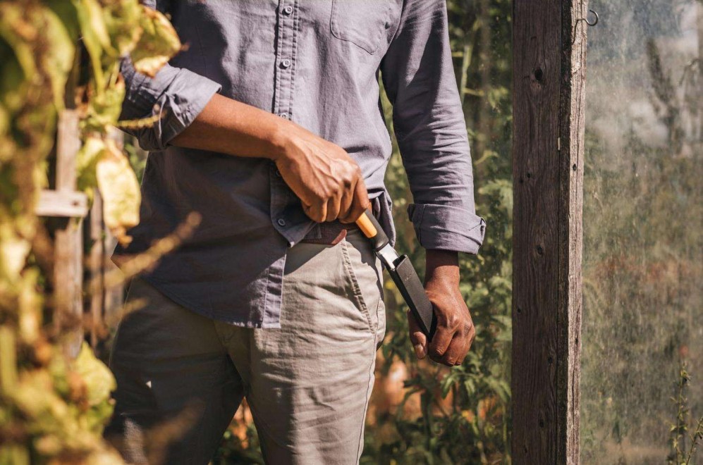 The Best Harvesting Tools for This Year's Garden Bounty