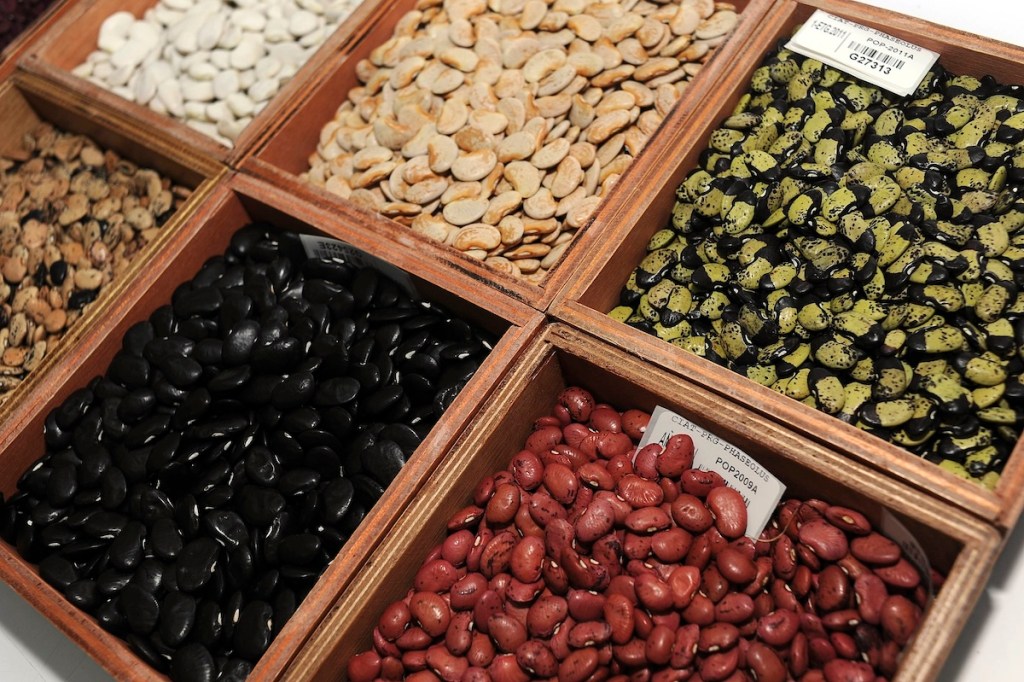 5 Smart Ways to Get Free Seeds for Your Home Garden