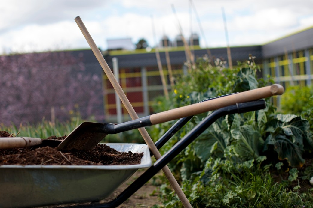 How to Apply Manure to Vegetable Gardens in Fall