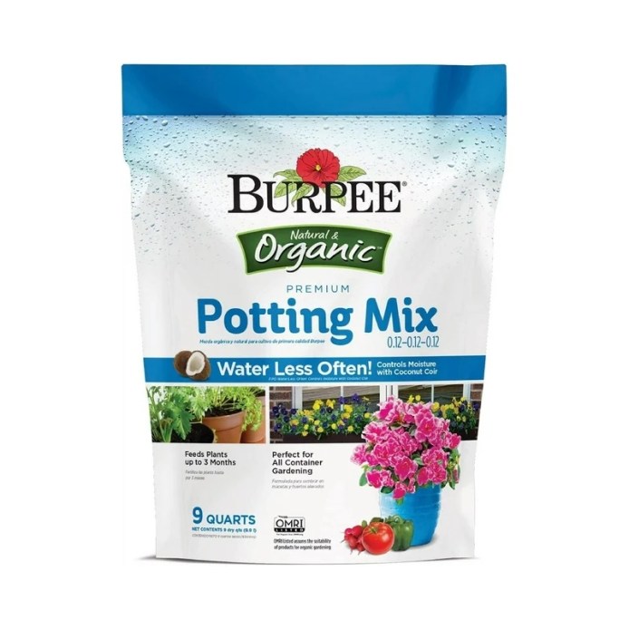 The Best Potting Soil for Indoor Plants