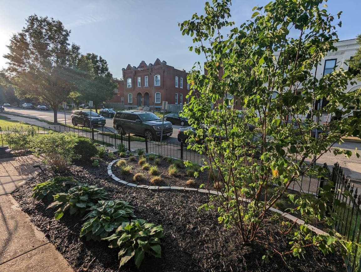 These Homeowners Killed Their Lawns for Native Plants