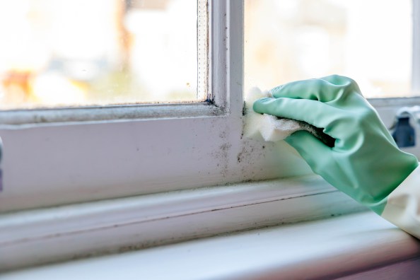 Spring Cleaning In The Fall Experts Say You Should Get On Board