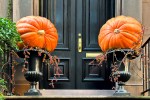 11 Spooky Plants for Colorful Halloween Containers