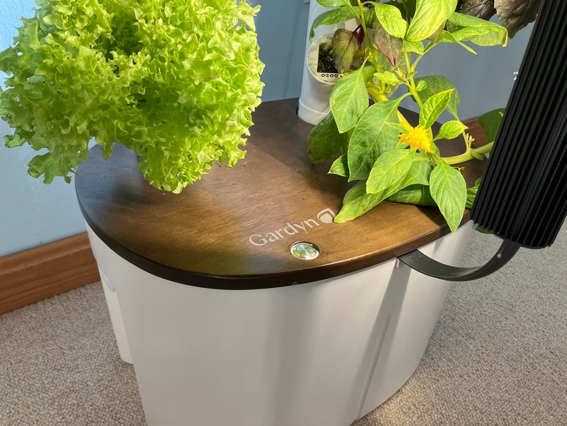 I Tested the Mini Gardyn System, The Results Were Amazing