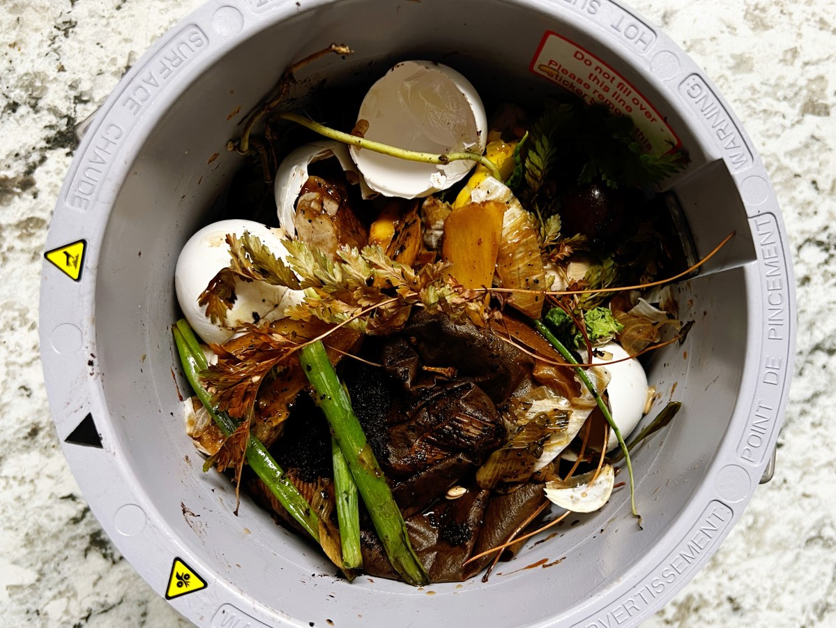 I'm a Gardener and Composter; This Is My Favorite Electric Composter