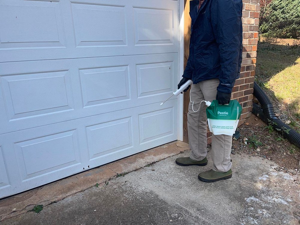 Is a Pest Control Subscription a Better Deal? A Pestie Review