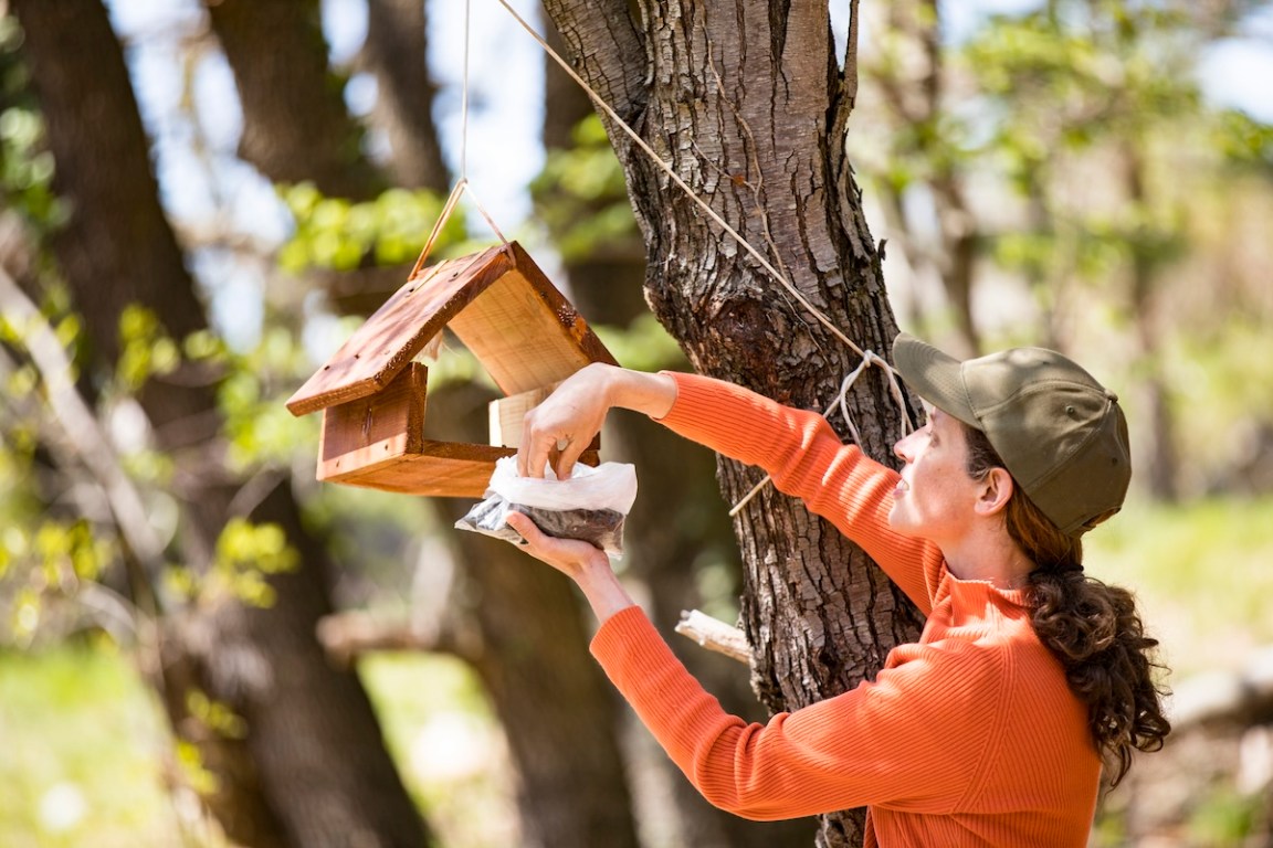 7 Mistakes You Might Be Making With Your Bird Feeders