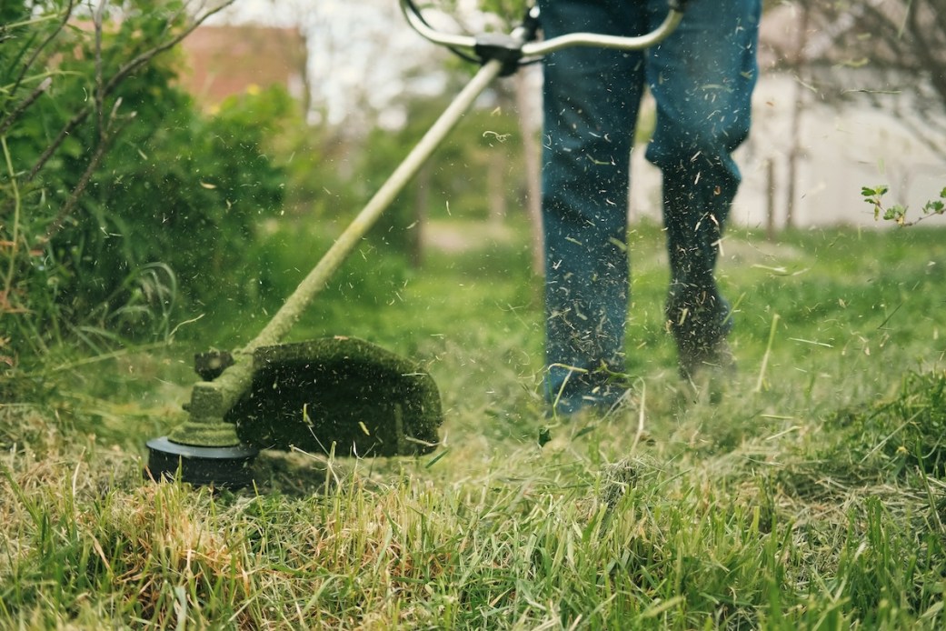 String Trimmer vs. Lawn Edger: What All DIY Landscapers Should Know