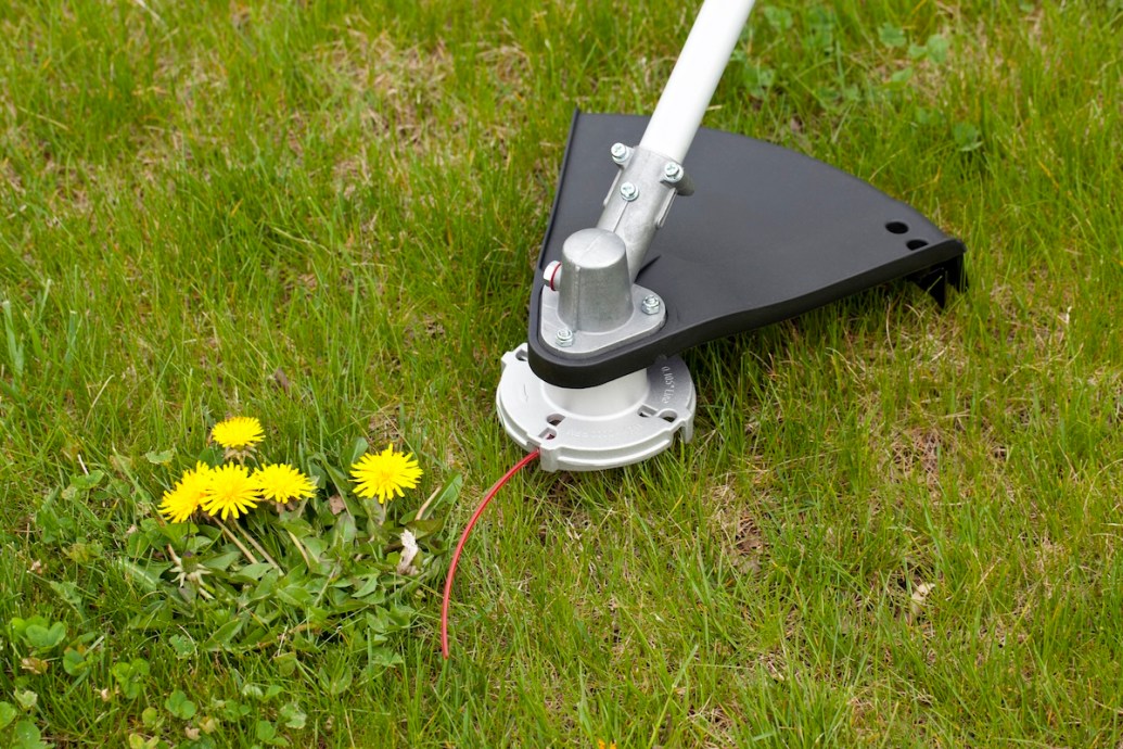 String Trimmer vs. Lawn Edger: What All DIY Landscapers Should Know