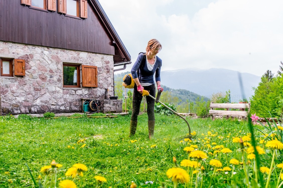 String Trimmer vs. Lawn Edger: What All DIY Landscapers Should Know