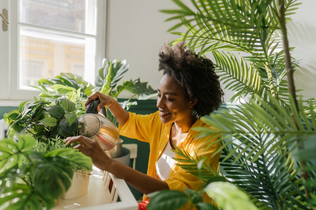 This is When to Fertilize Houseplants to Get the Best Results