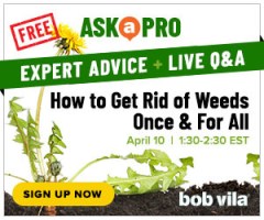 What are Biennial Plants