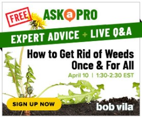 How to Get Rid of Gophers (Homeowner's Guide) - Bob Vila