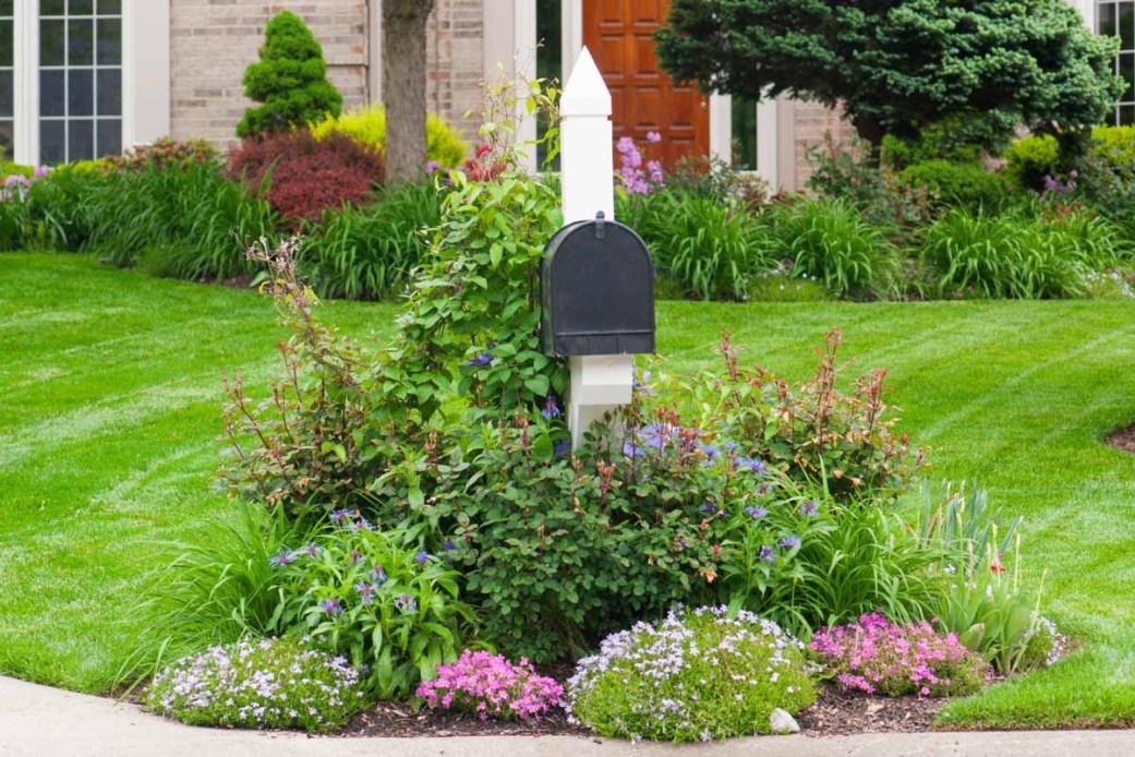 7 Mailbox Landscaping Ideas You’ll Want to Copy