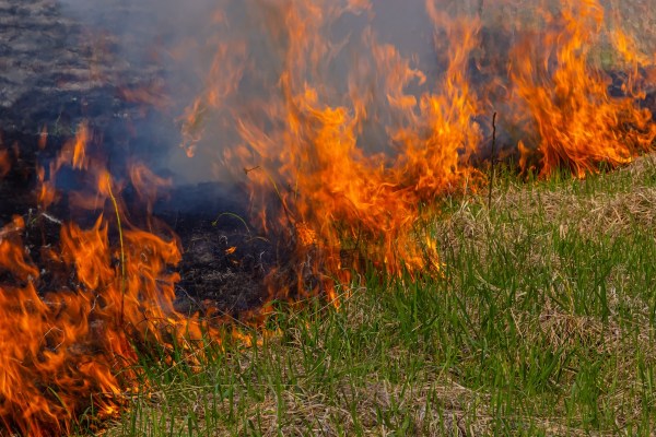 Fire-Resistant Landscaping Tips Every Homeowner Should Know