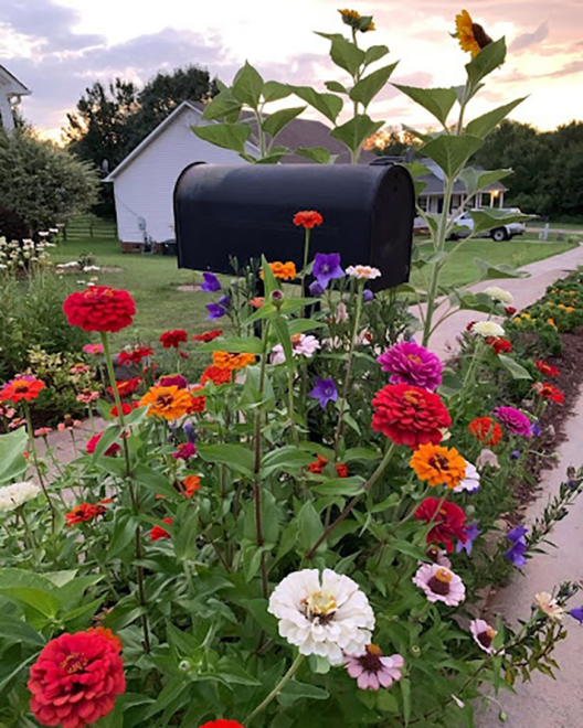 7 Mailbox Landscaping Ideas You’ll Want to Copy