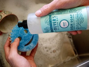 How to Remove Tree Sap From Almost Anything