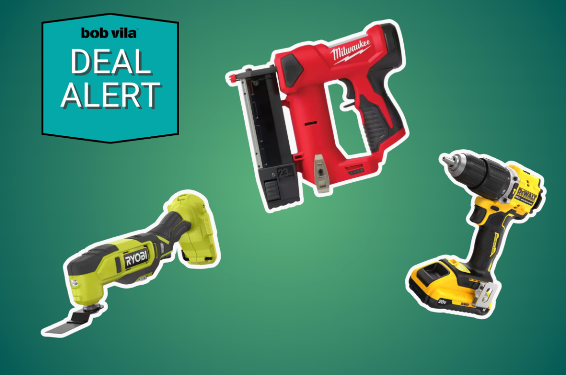 Solved! What Does Coyote Poop Look Like? - Bob Vila