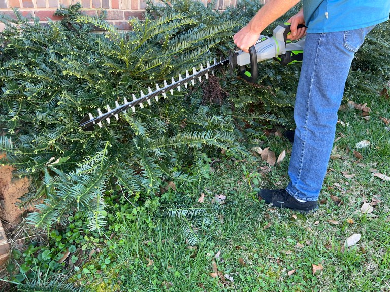 The Best Battery-Powered Hedge Trimmer - Tested by Bob Vila