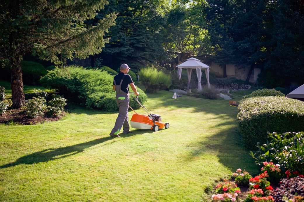 The 18 Best Things You Can Do for Your Lawn