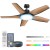 Finally, a Smart Ceiling Fan That's Truly Smart: A Dreo Fan Review