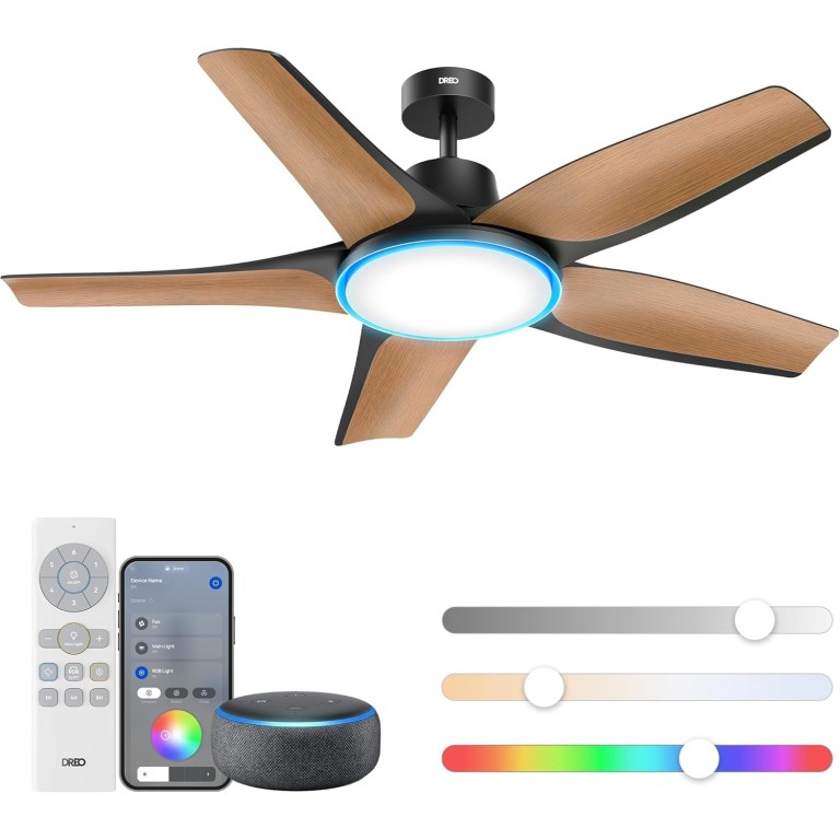 The Best Ceiling Fans of 2025 | Tested by Bob Vila