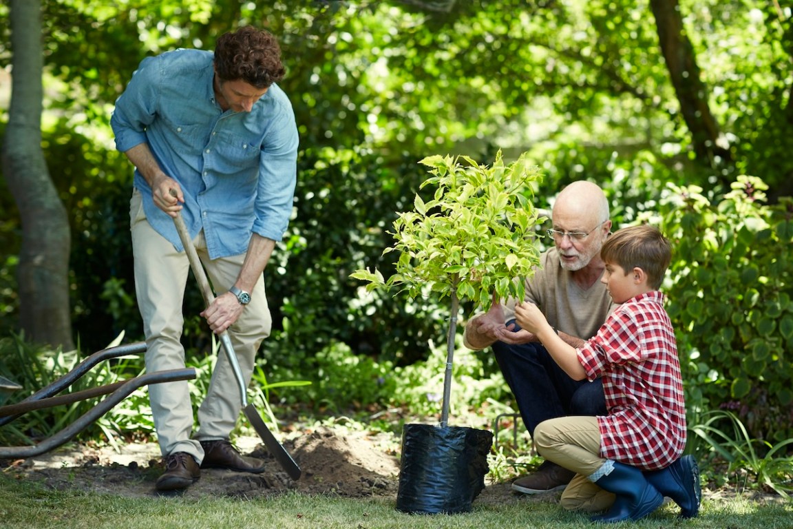 Spade vs. Shovel: What All DIY Landscapers Need to Know