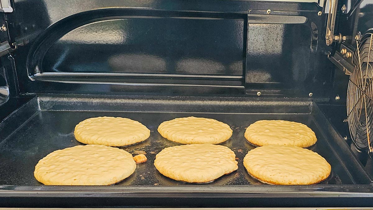 A Grill That Can Do It All?: Ninja FlexFlame Grill Review