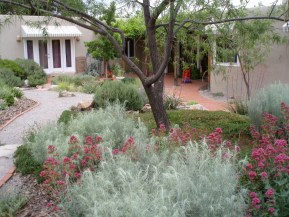 15 Xeriscape Ideas for a Beautiful, Sustainable Yard