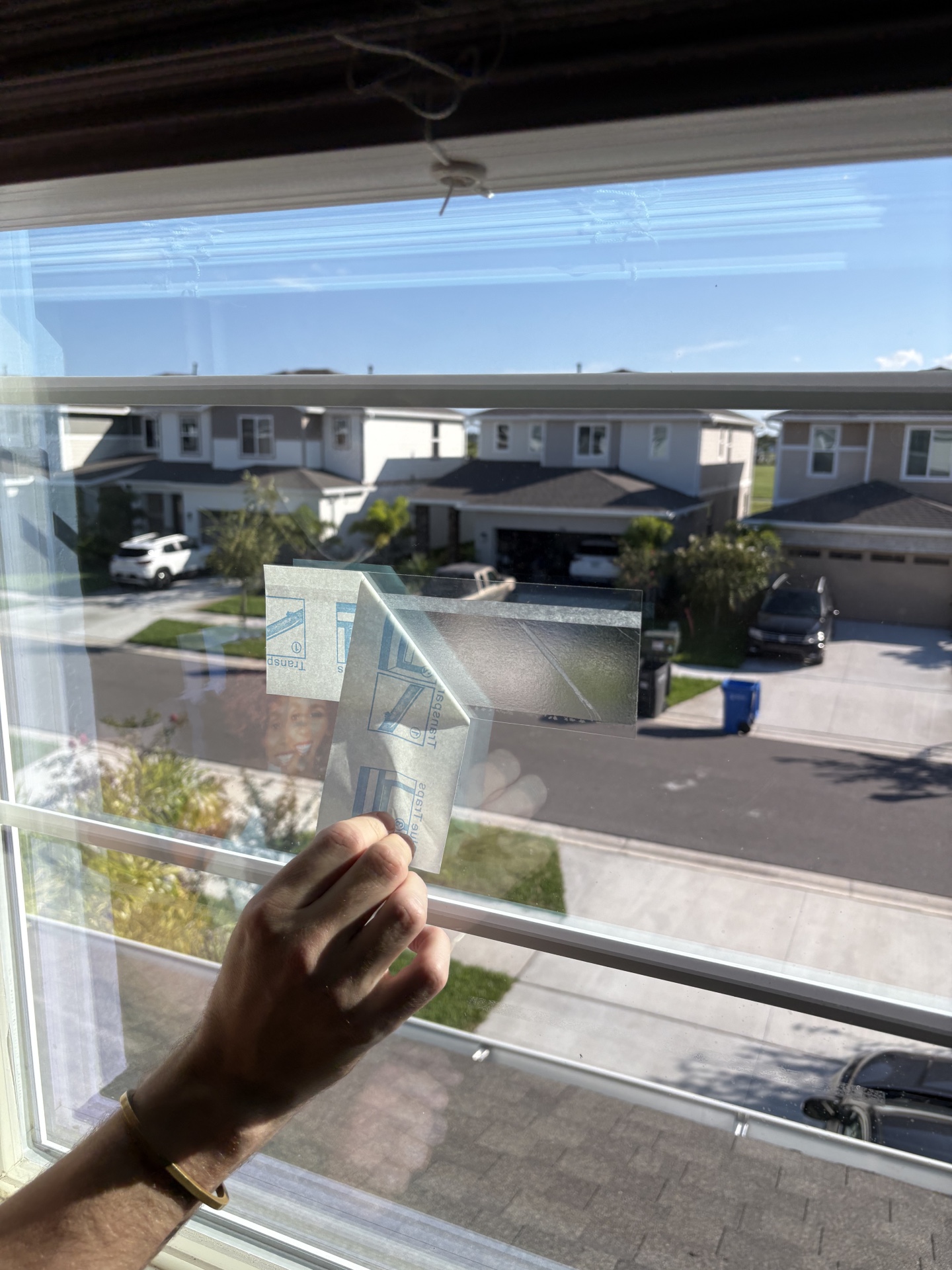 Catchmaster Fly Trap Review: Sticky Mess or Sticky Solution?