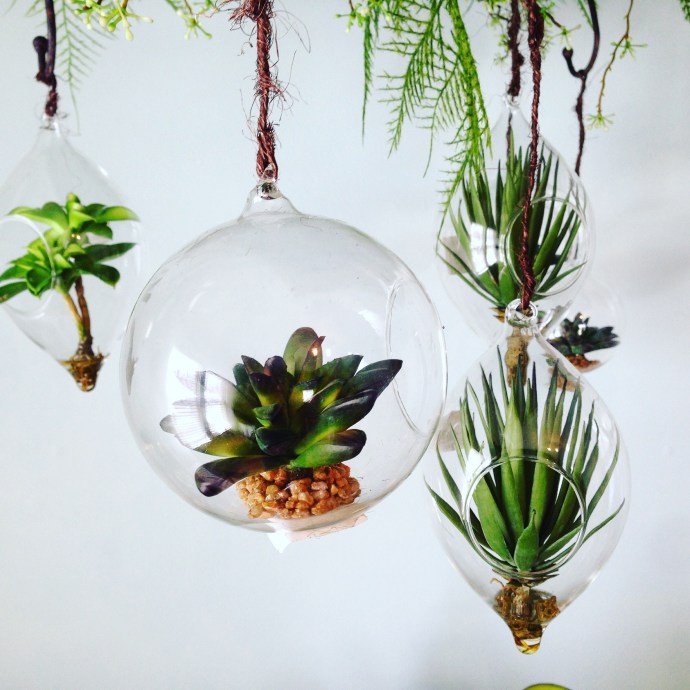How to Create a Plant Gallery, the Latest Indoor Gardening Trend