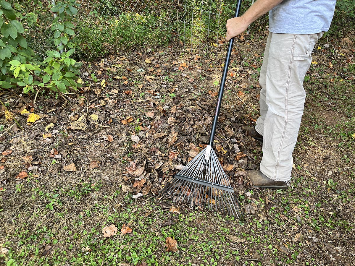 The Best Leaf Rake I've Ever Used: A Razor Back Rake Review