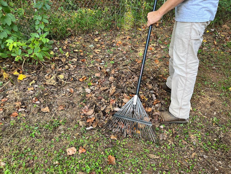 The Best Leaf Rake I've Ever Used: A Razor Back Rake Review