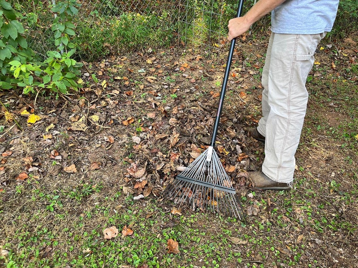 The Best Leaf Rake I've Ever Used: A Razor Back Rake Review