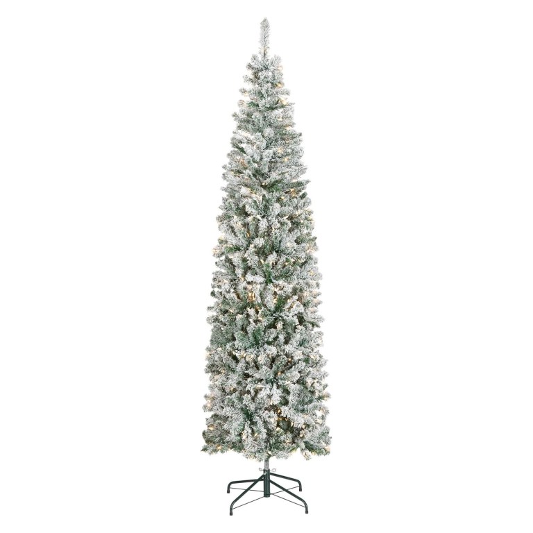 Black Friday Is the Best Time to Buy a Christmas Tree: Start at $41