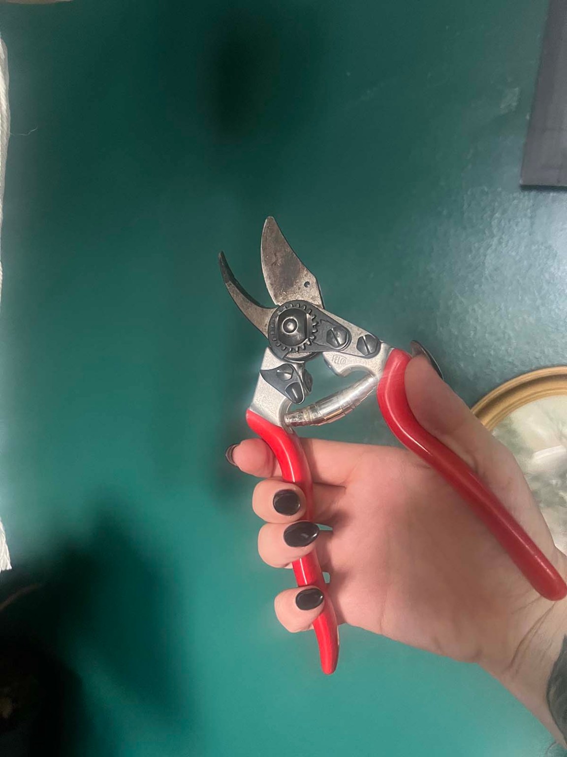 Felco Pruning Shears Review: A Must-Have for Any Gardener