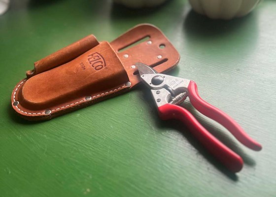 Felco Pruning Shears Review: A Must-Have for Any Gardener
