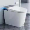 Horow Smart Toilet Review: An Excellent Choice at a Great Price
