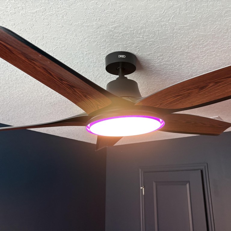 Best Dreo Fans and Home Products 2026: Tested and Reviewed
