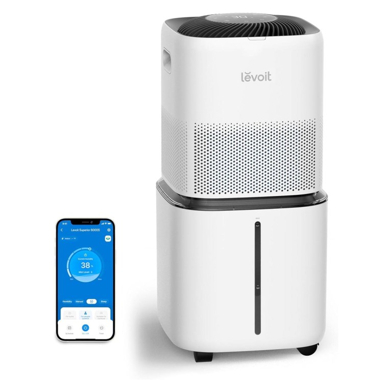 The Best Humidifiers for Large Rooms | Tested by Bob Vila