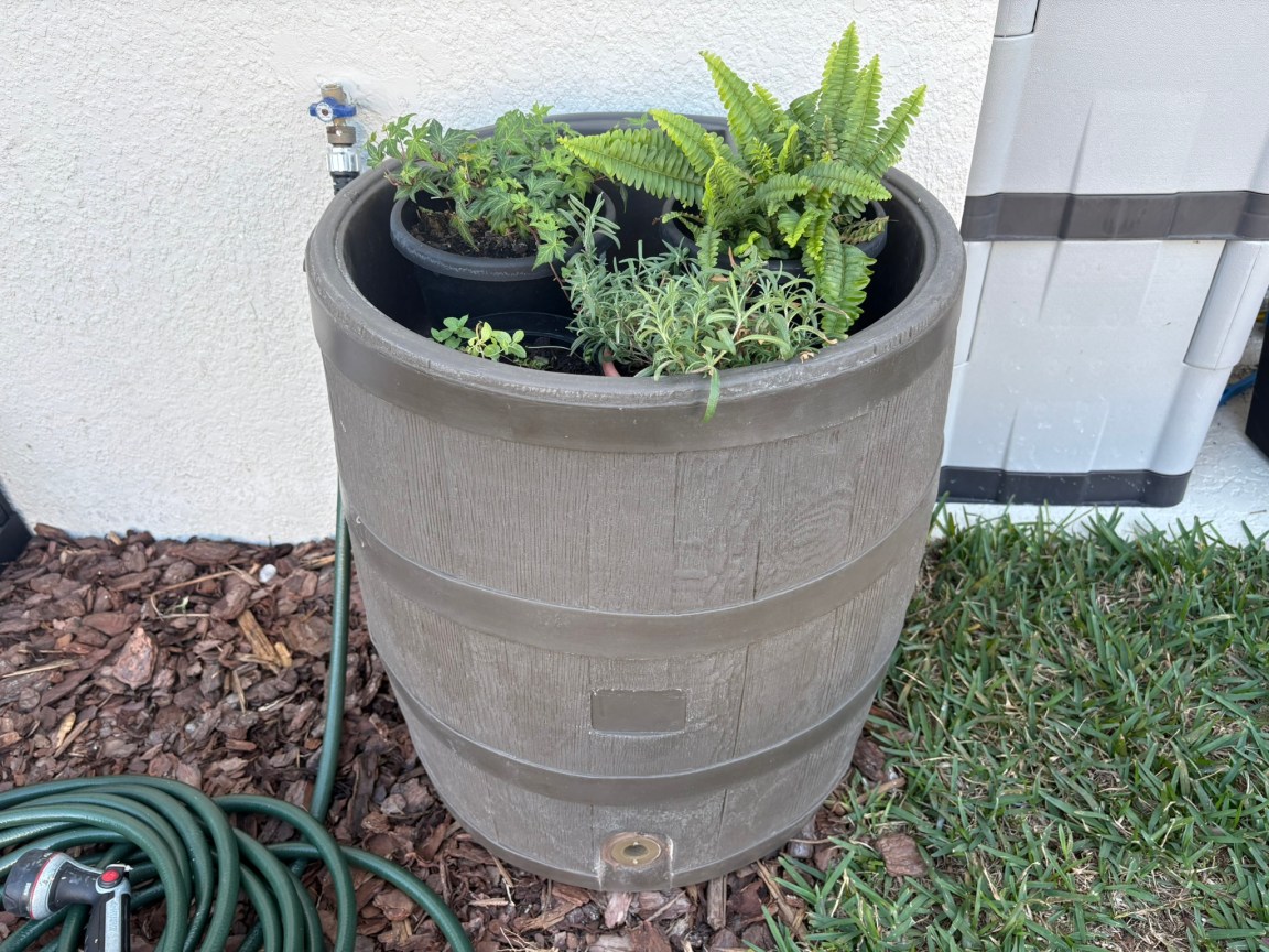 The Best Rain Barrels of 2026, Tested & Reviewed by Bob Vila