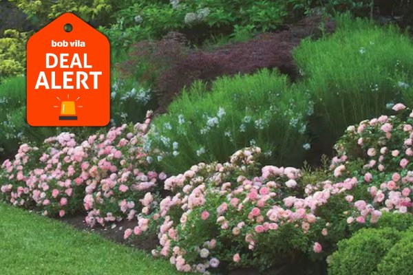 Home Depot Drops Garden Prices 60% for Spring Black Friday