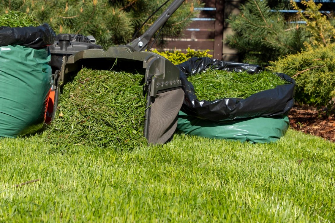 Mulching vs. Bagging Grass: Which Is Better?